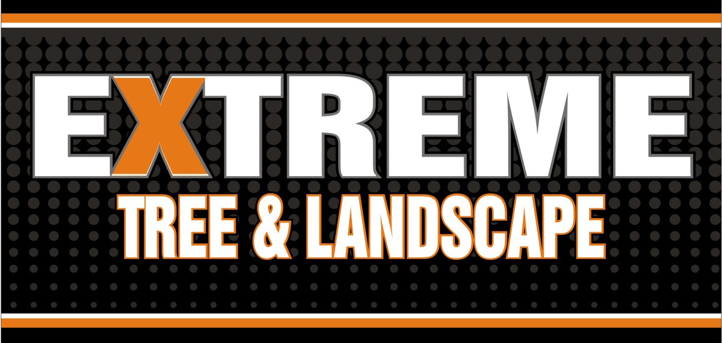 About Us - Extreme Tree